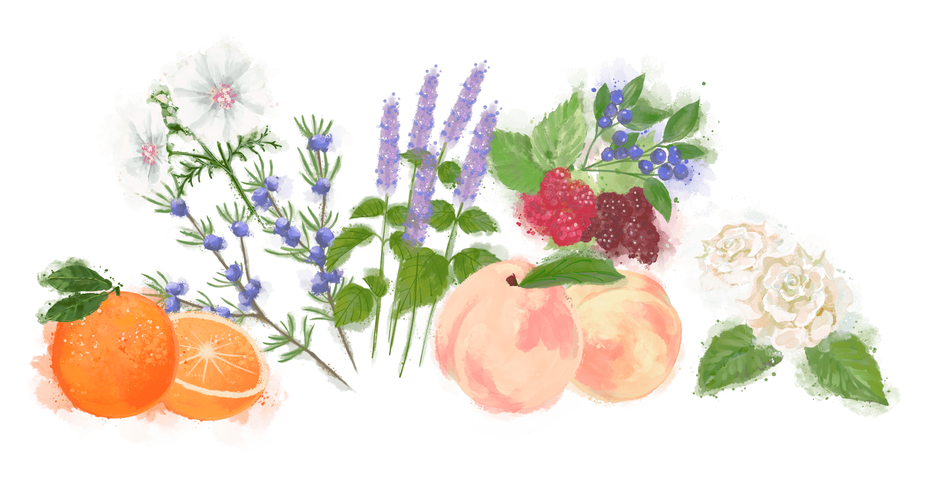 キラージュ[KIRAGE] - コーセーコスメポート